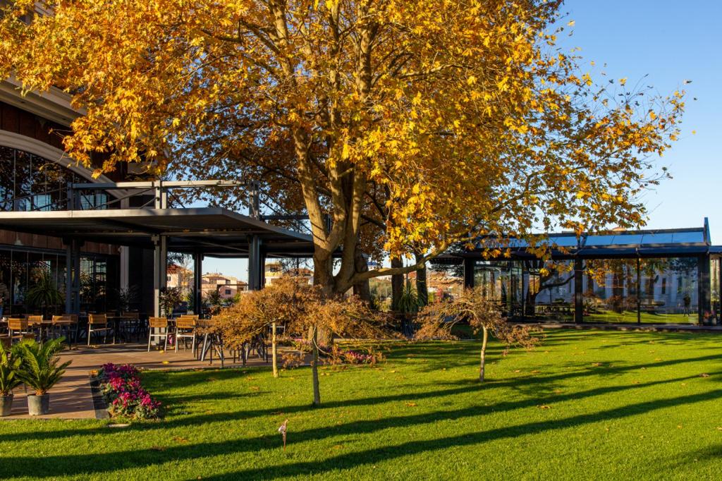 Ajman Park – Only 20 minutes away from Tirana